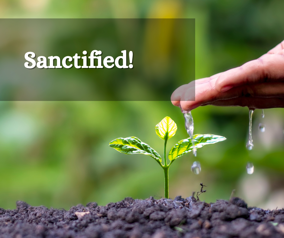 Understanding the Journey of Faith: Justification, Sanctification, and ...